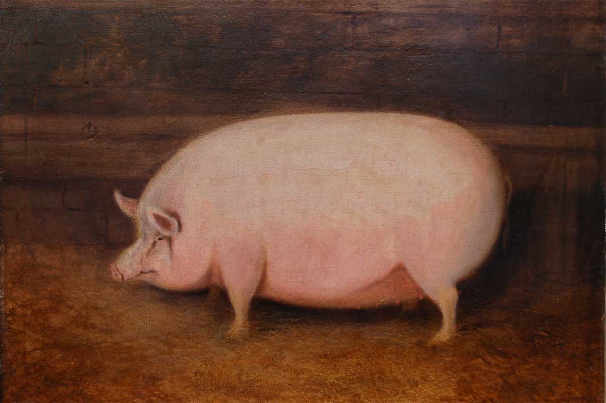 THE PIG AND THE ART